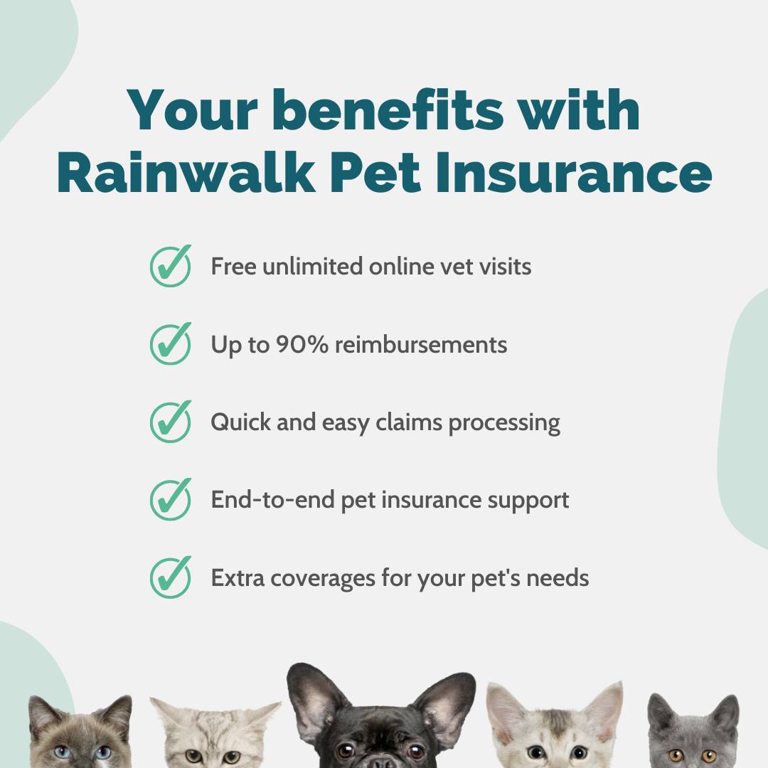 Pet Insurance | THE BYERS AGENCY